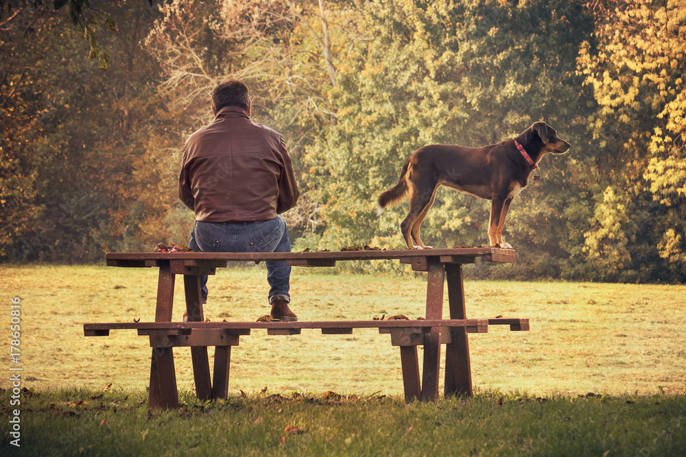 man with dog in fall season, back view of person with his faithful dog ...