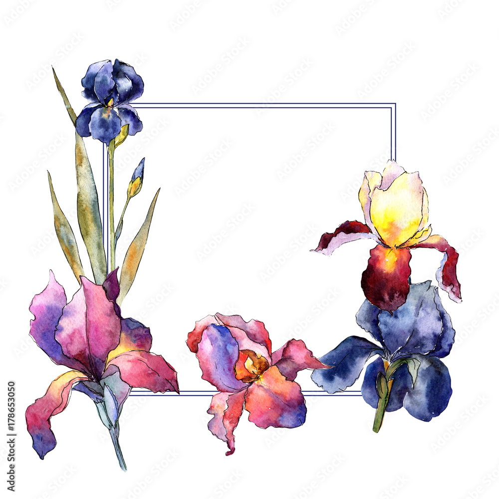 Wildflower colorful iris flower frame in a watercolor style. Full name ...