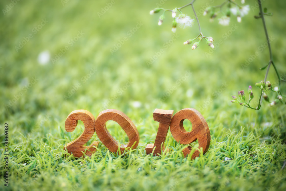 Wooden number 2019 on green grass background Stock Photo | Adobe Stock