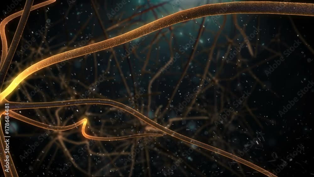 Brain Neuron from left to right Neurons in action. electrical impulses ...