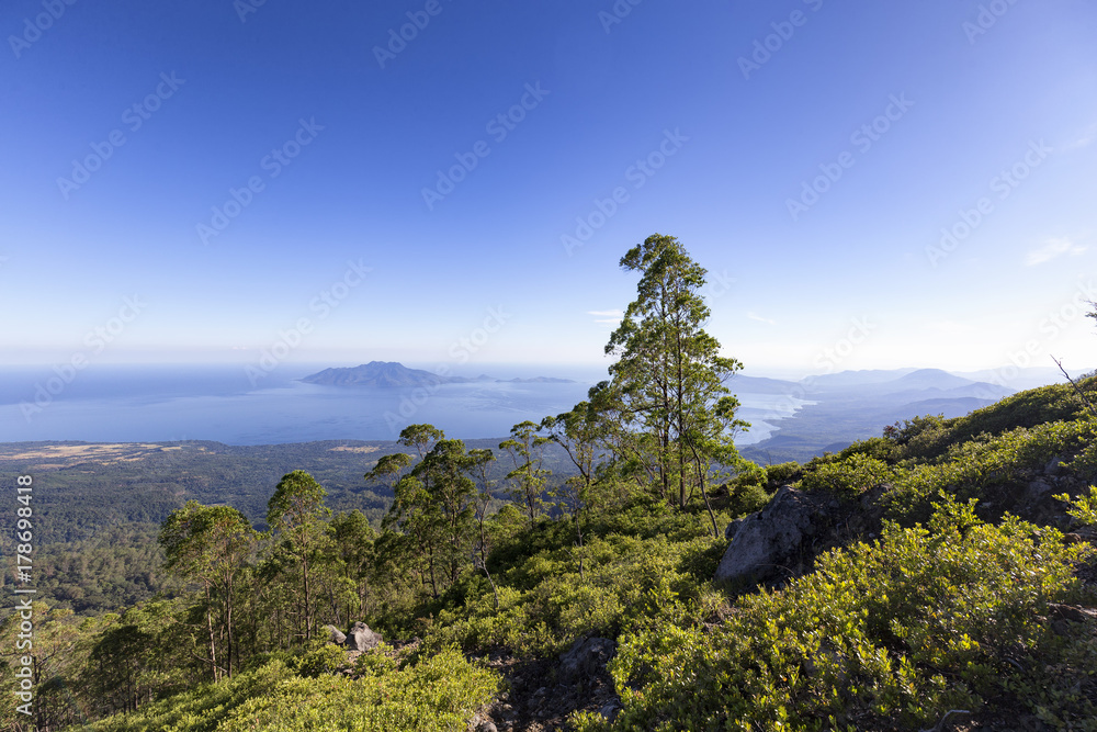 The edge of the treeline and Pulau Besar Island on the active Mount ...