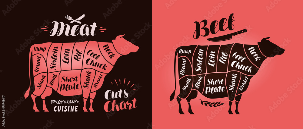 Meat cut charts. Food, butcher shop, beef concept. Vector illustration ...