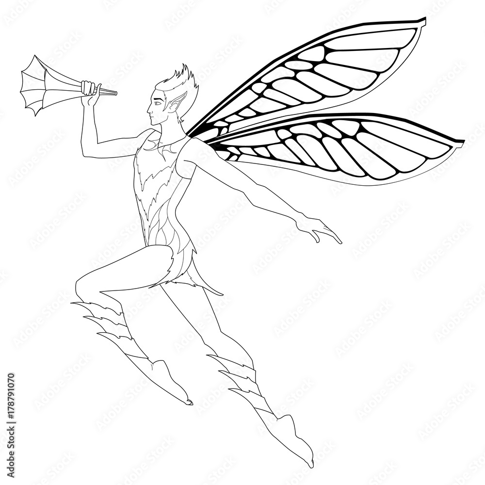Male Fairy Drawings