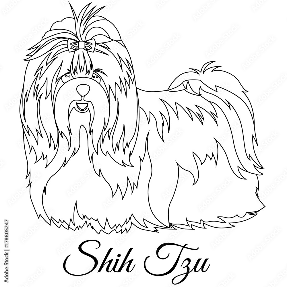 Shih tzu outline Stock Vector | Adobe Stock