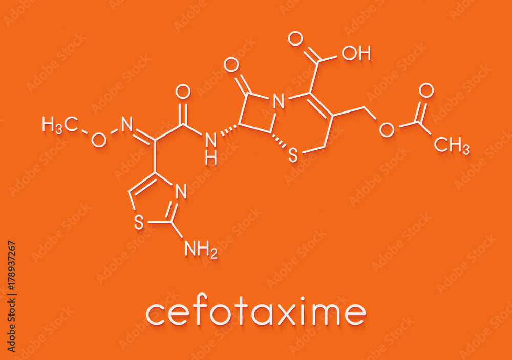 Cefotaxime antibiotic drug molecule (cephalosporin, third generation ...