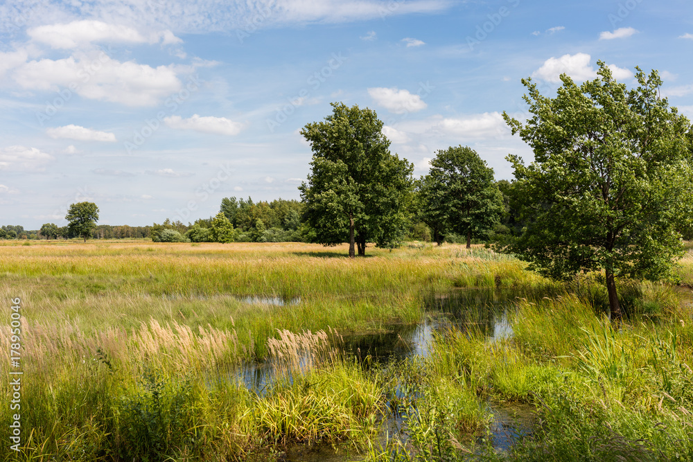 Moorlandschaft Stock-Foto | Adobe Stock