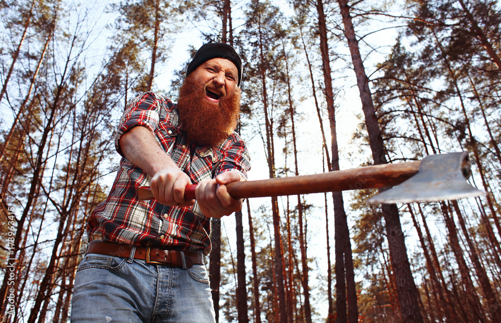 a lumberjack works with an axe in the forest Stock Photo | Adobe Stock