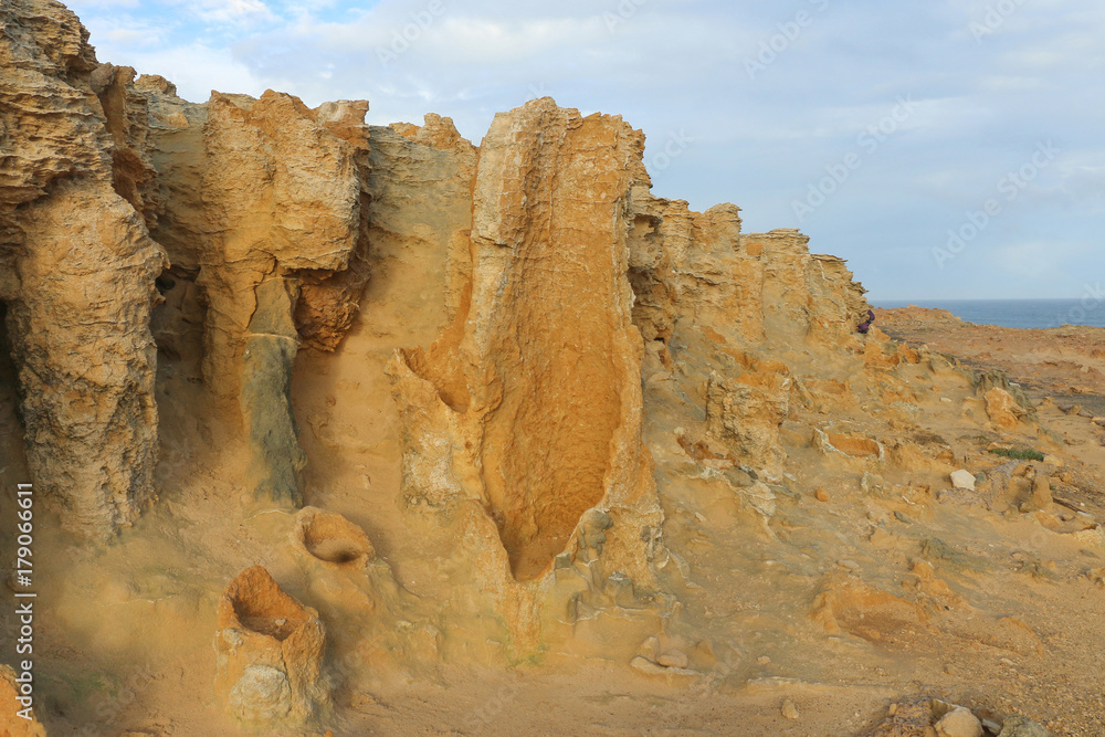 The Petrified Forest is a natural rock formation of limestone and sand ...