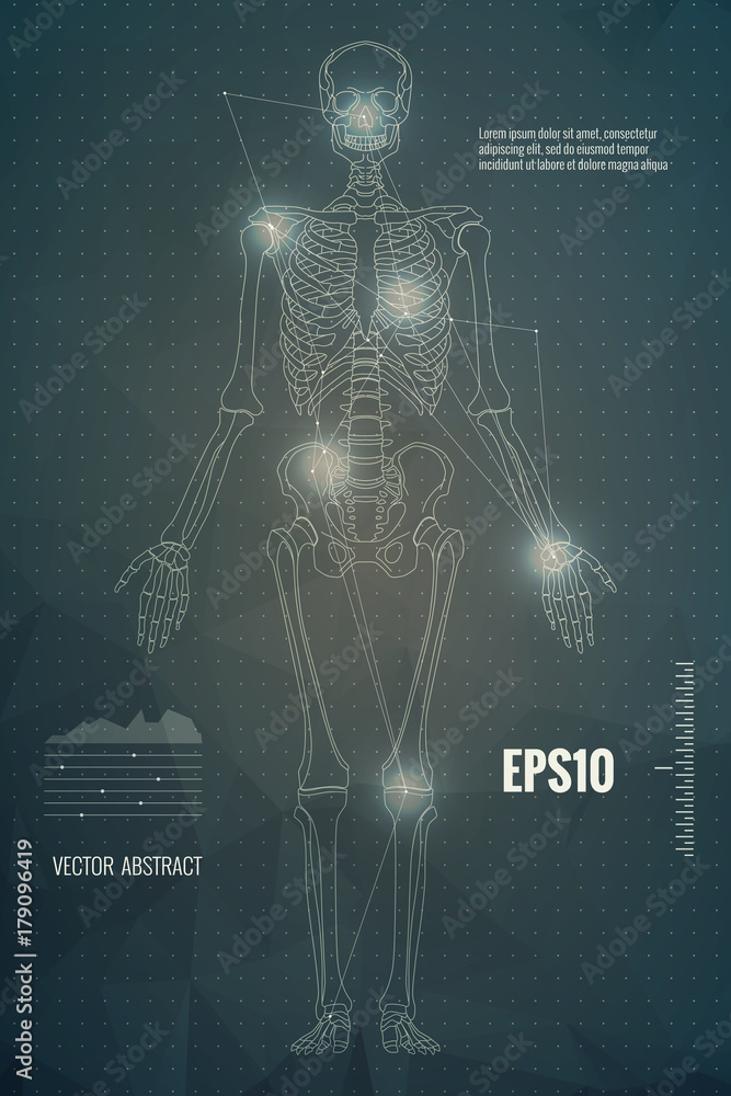 Vector skeleton modern scientific medical educational background Stock ...