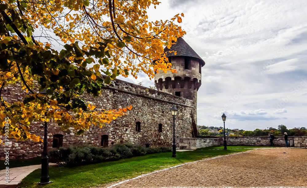 Medieval fortifications of Buda Castle (Royal Castle) on Castle Hill ...