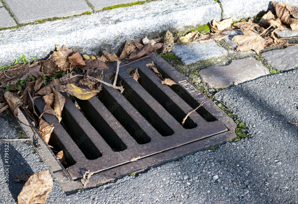 Gulli am Strassenrand mit Laub im Herbst verstopft Stock-Foto | Adobe Stock