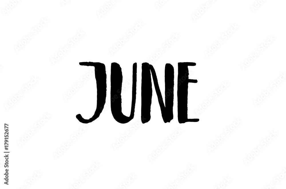 June. Handwritten text. Modern calligraphy Stock Illustration | Adobe Stock