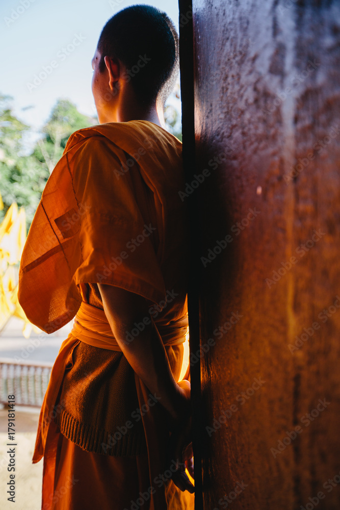 Young Buddhist monk leaning against the door of the temple, back view ...