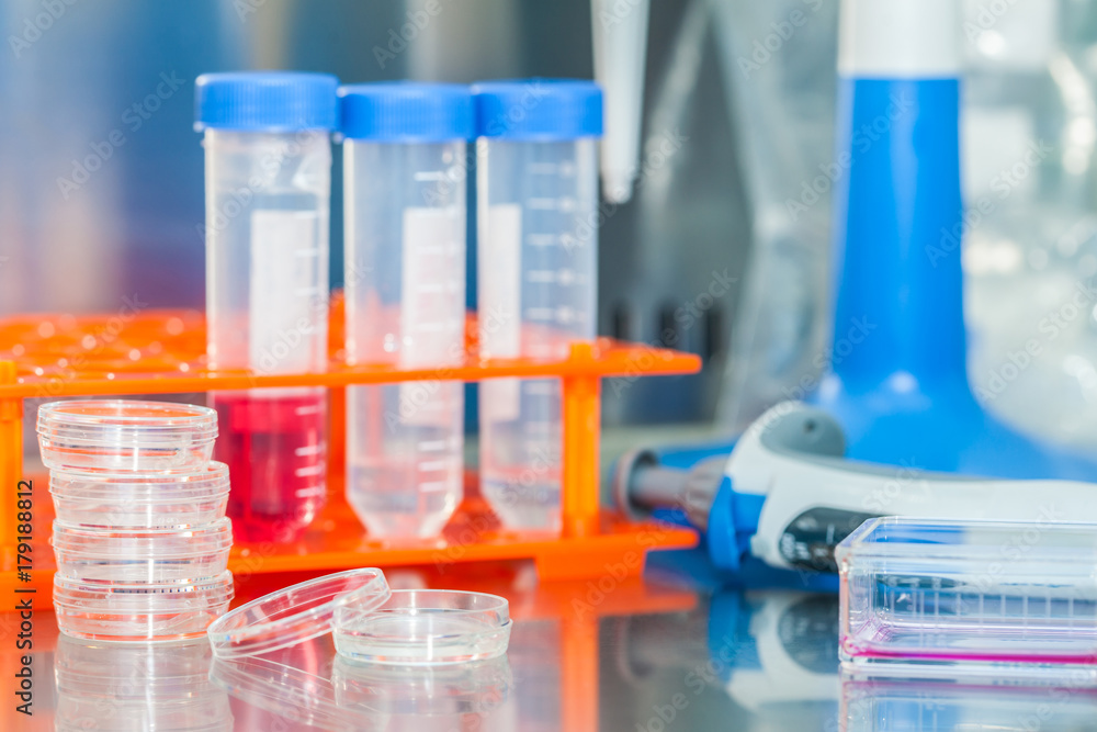 Laboratory materials in a safety laminar air flow cabinet at laboratory ...