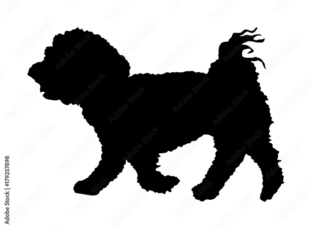 Maltese dog puppy vector silhouette illustration isolated on white ...