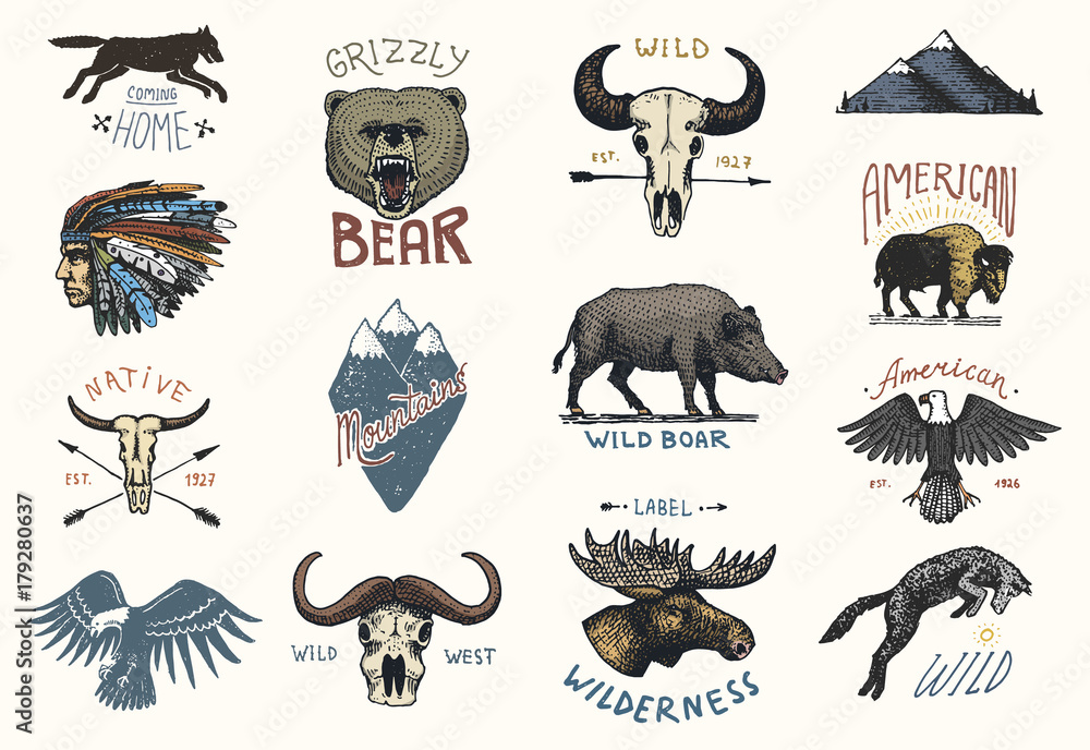 Wolf Native American Symbol