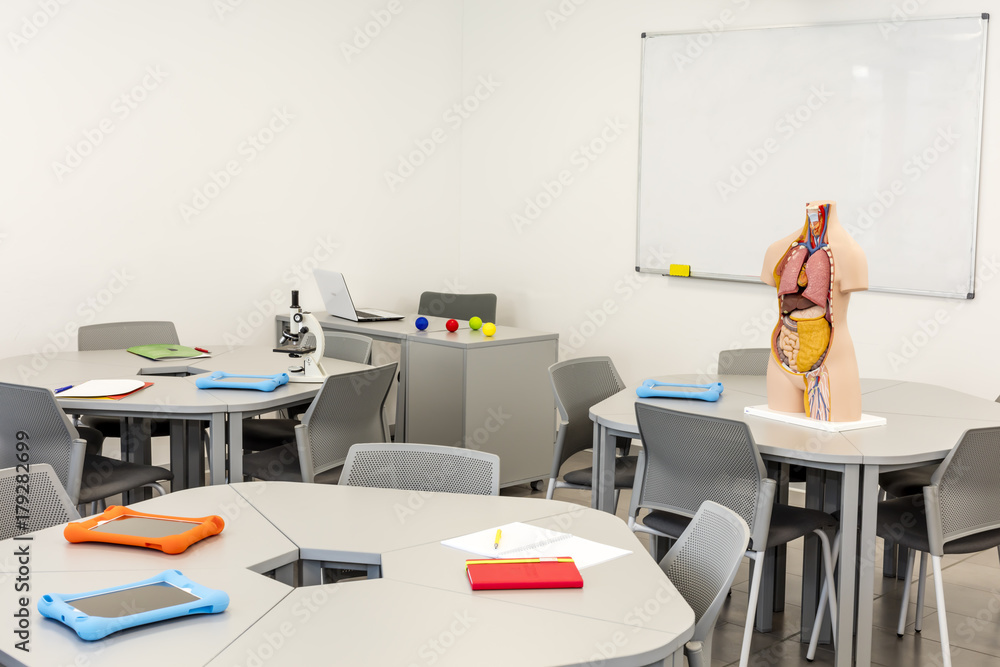 Modern classroom interior, with round tables. Anatomy model and the ...