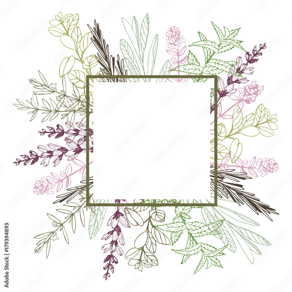 Vector frame with hand drawn herbs. Sketch illustration. Stock Vector ...