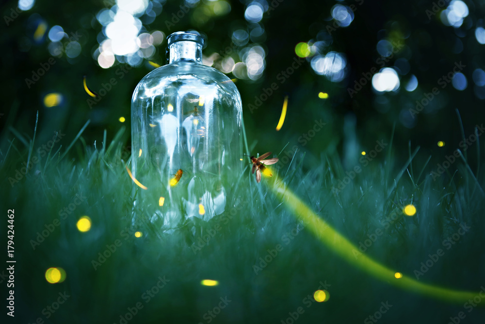 Fireflies in a jar. Stock Photo | Adobe Stock