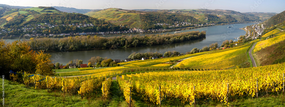 Rheinsteig Panorama bei Lorch im Herbst Stock-Foto | Adobe Stock