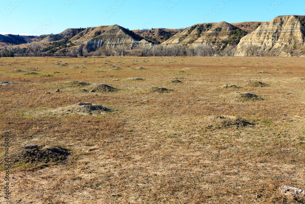 Prairie Dog holes line the landscape at Theodore Roosevelt National ...
