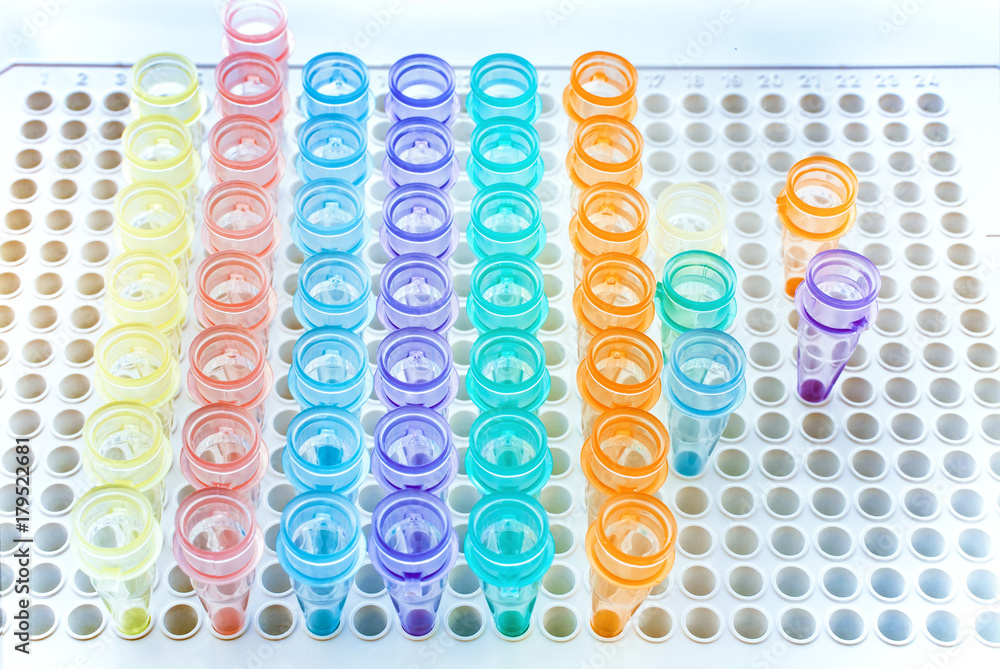 rack with pcr tubes for genetic analysis / background of tubes for ...