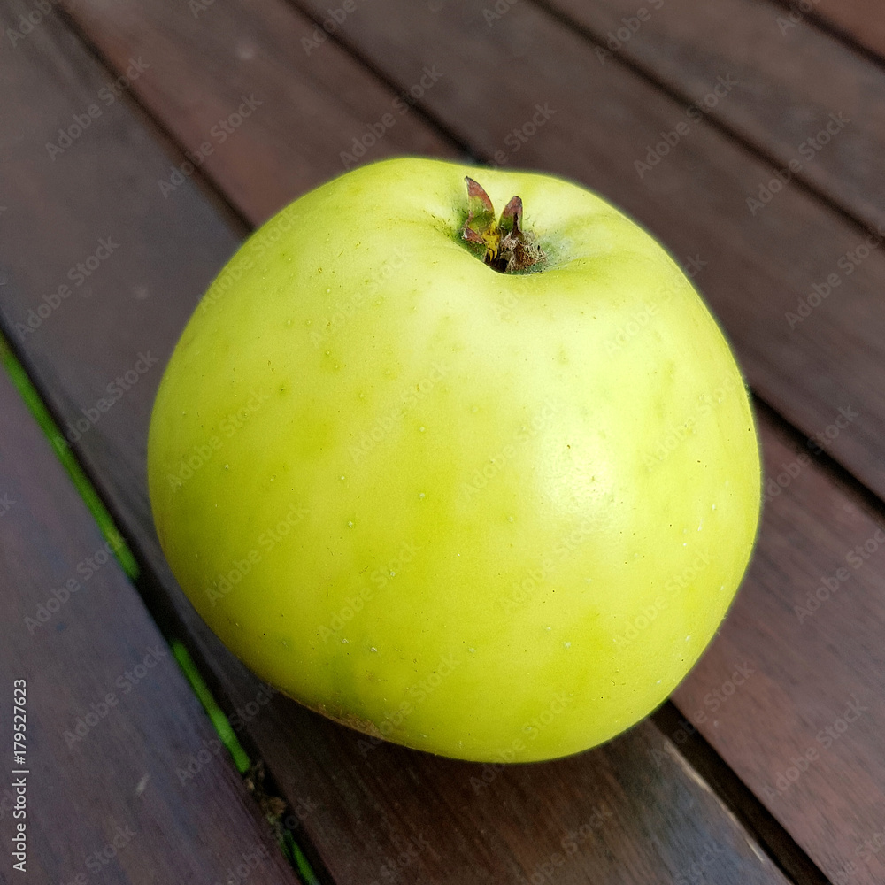Pomme de Or, Alte Apfelsorten, Apfel, Malus, domestica Stock Photo ...