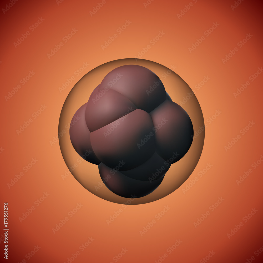 Zygote human. 3D image laboratory the Microbiology embryo. Stock Vector ...