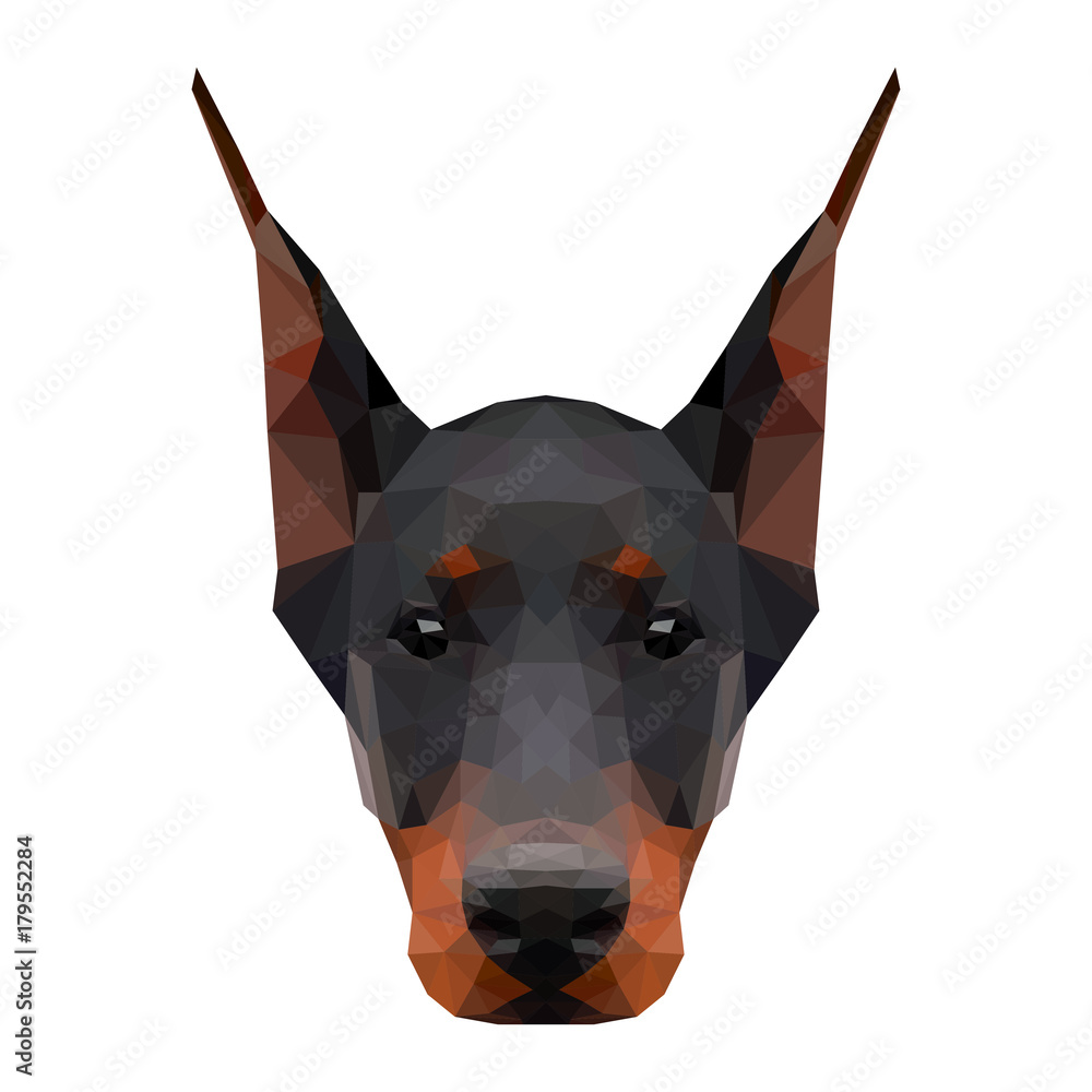 Abstract polygonal doberman head. Modern low poly doberman portrait ...