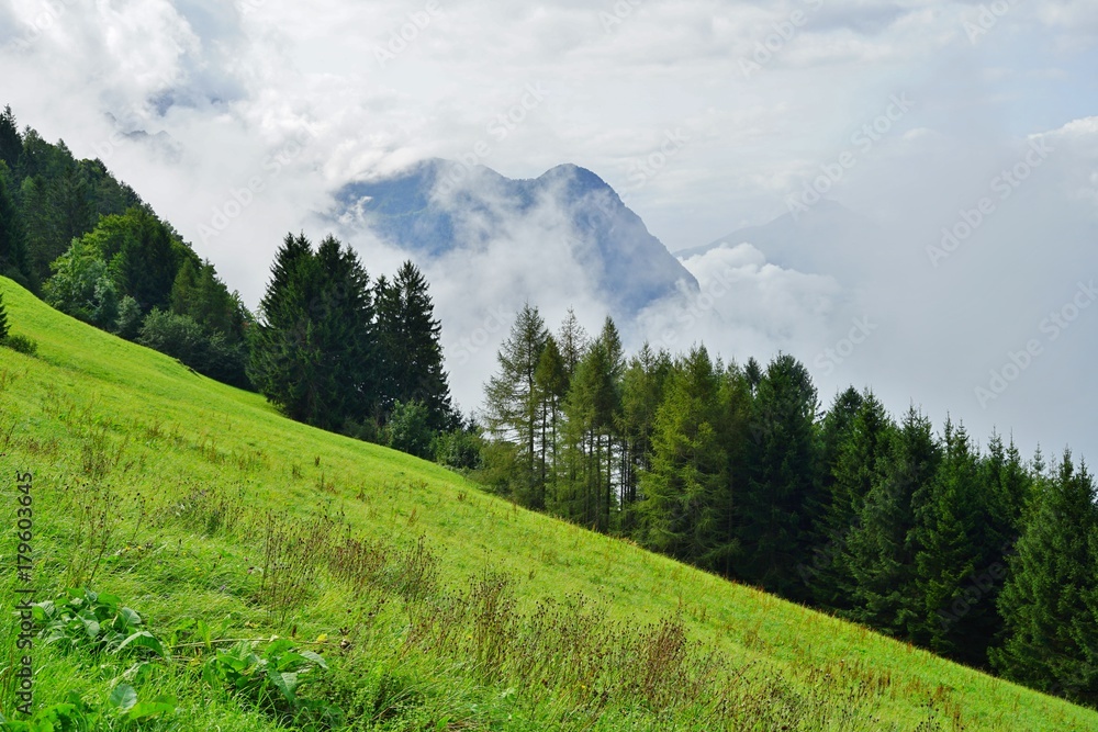 Shades of green in the Alps mountains in the principality of ...