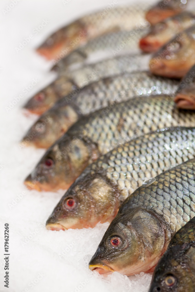 Frozen ice-cold fish in the store Frozen fish. Freshfish market. Gilt ...