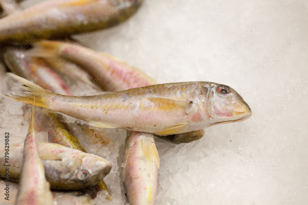 Frozen ice-cold fish rams in the store Frozen fish. Freshfish market ...