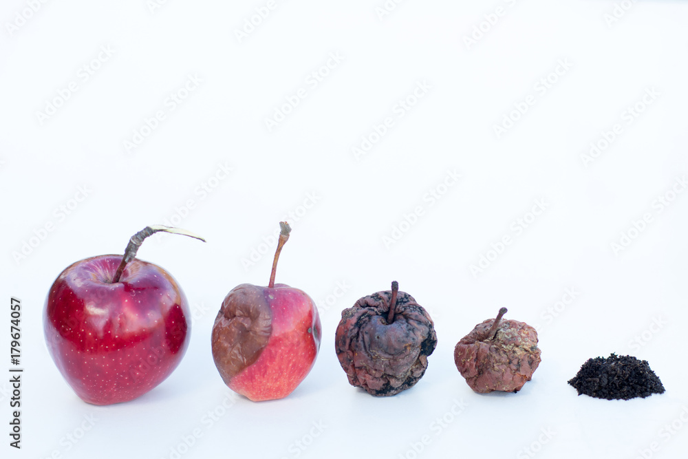 Concept Aging, death, rebirth. Different stages of life. Age disease ...