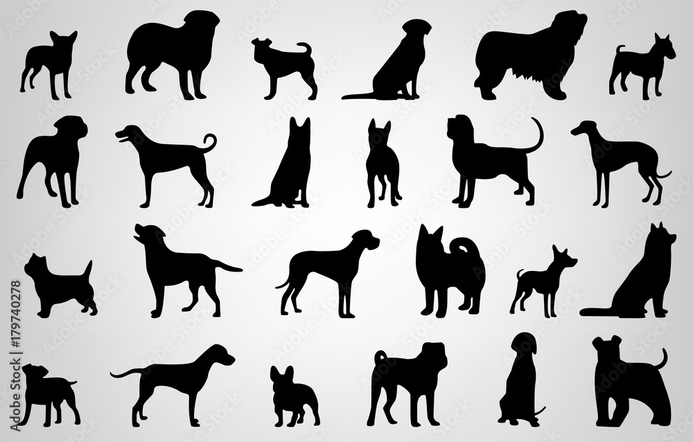 Dog breeds silhouettes. Dog icons collection. Chinese zodiac 2018 ...