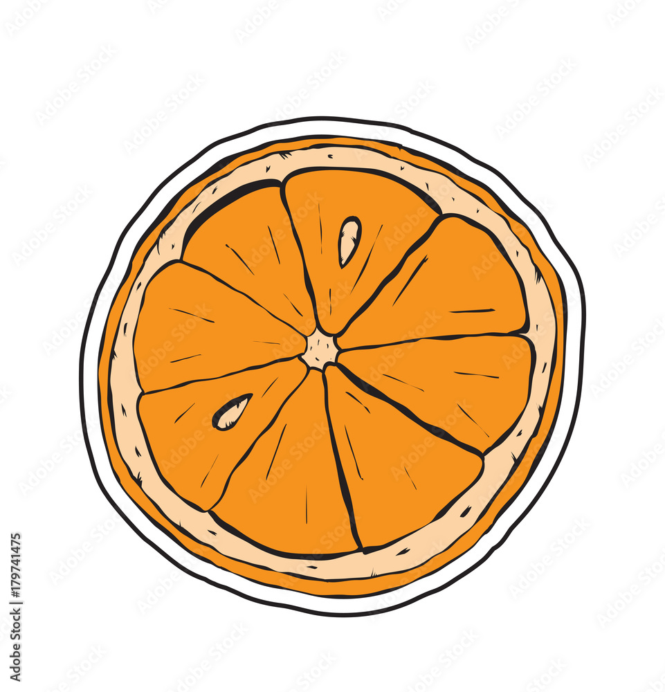 cut orange, orange fruit, vector image, flat design, hand drawing ...