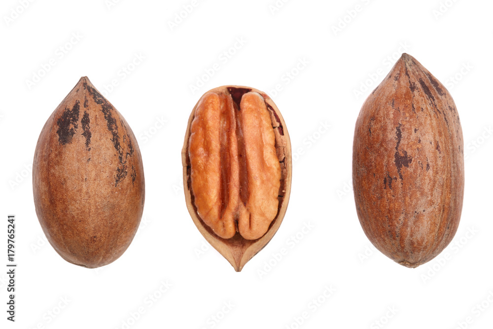 Single pecan nut isolated on white background, set of three different ...