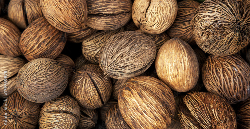 Pong Pong tree or cerbera odollam seeds natural background Stock-Foto ...