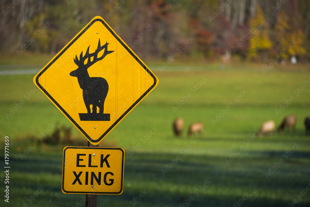 Elk Sign