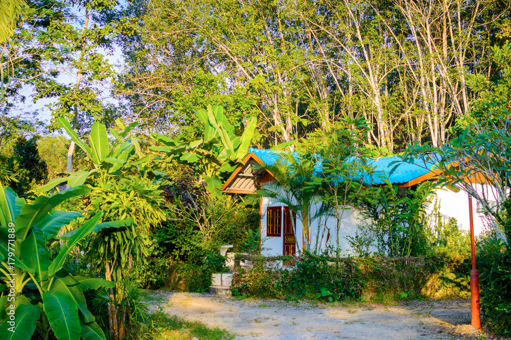 Small bungalow at the coconut palm trees plantation Stock Photo | Adobe ...