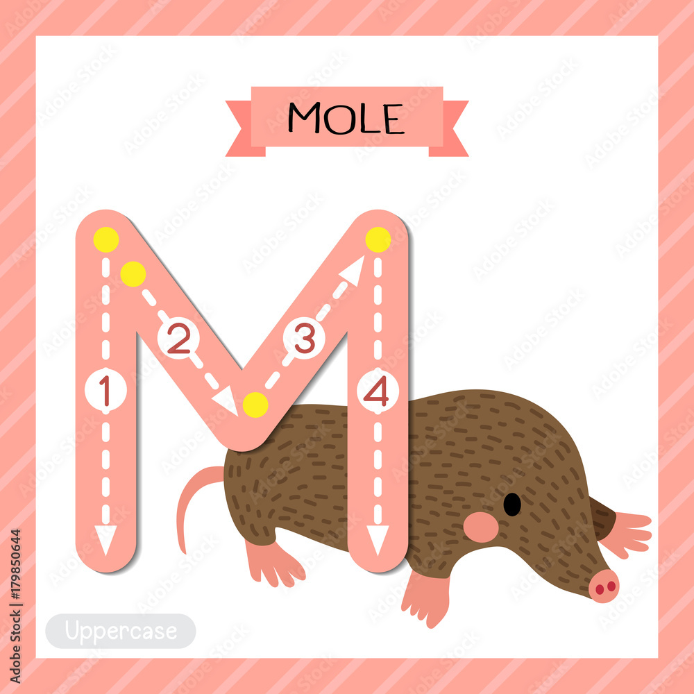 Letter M uppercase cute children colorful zoo and animals ABC alphabet ...