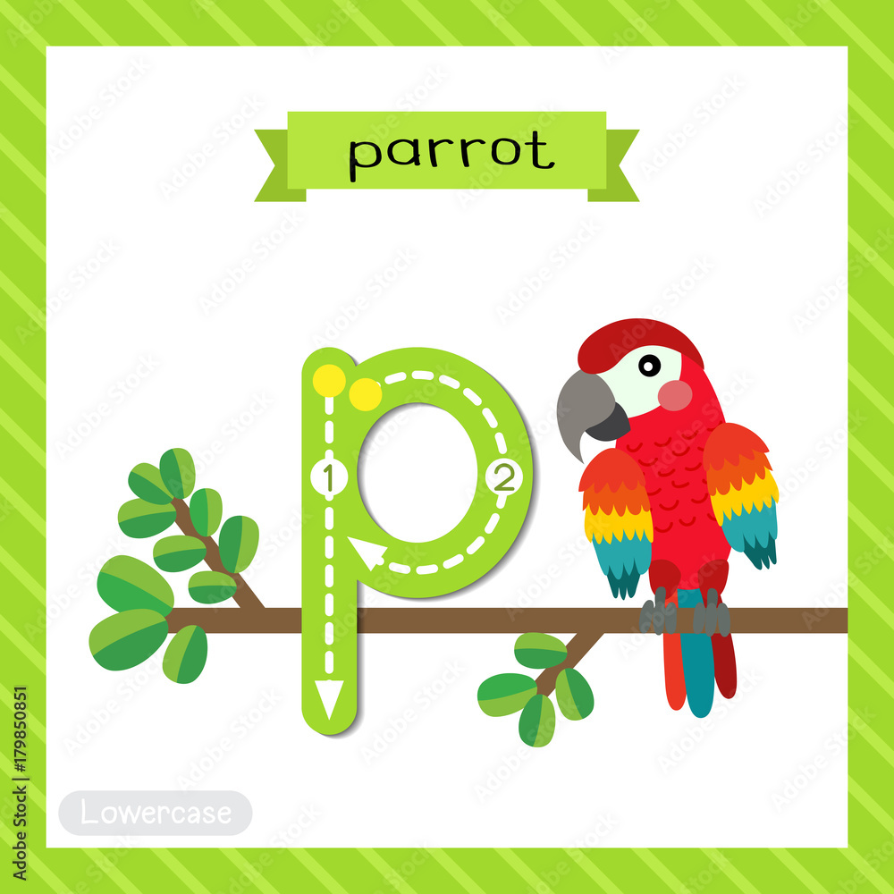 Letter P lowercase cute children colorful zoo and animals ABC alphabet ...