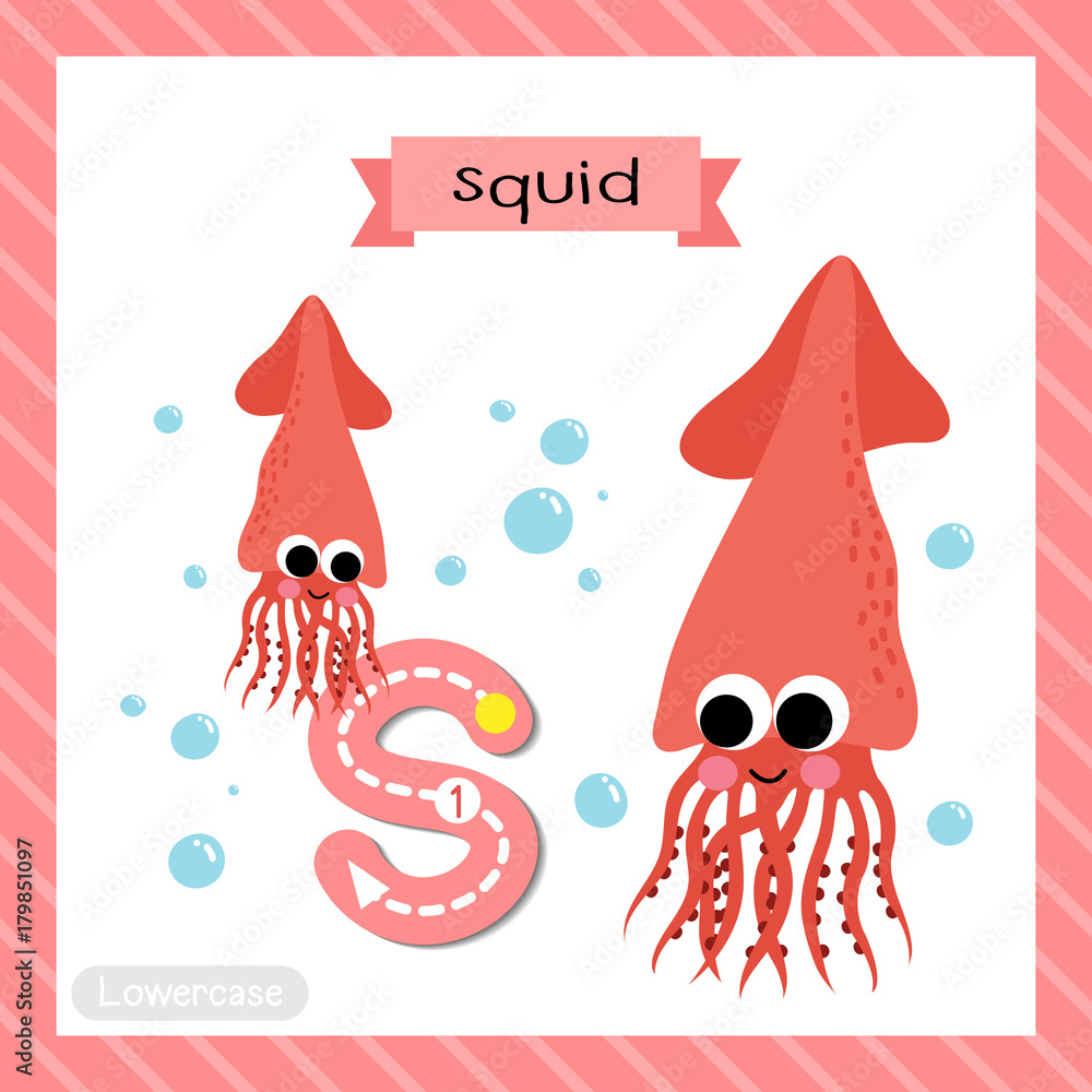 Letter S lowercase cute children colorful zoo and animals ABC alphabet ...