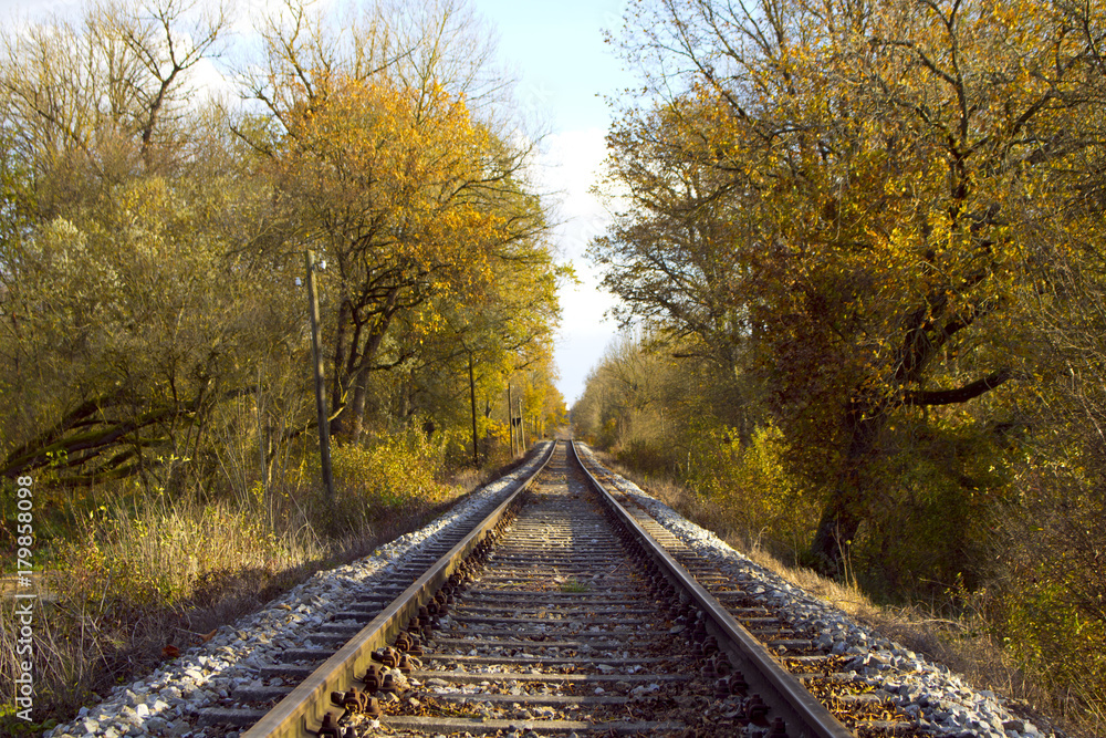 Poster Gleise – Wall Art | UkPosters