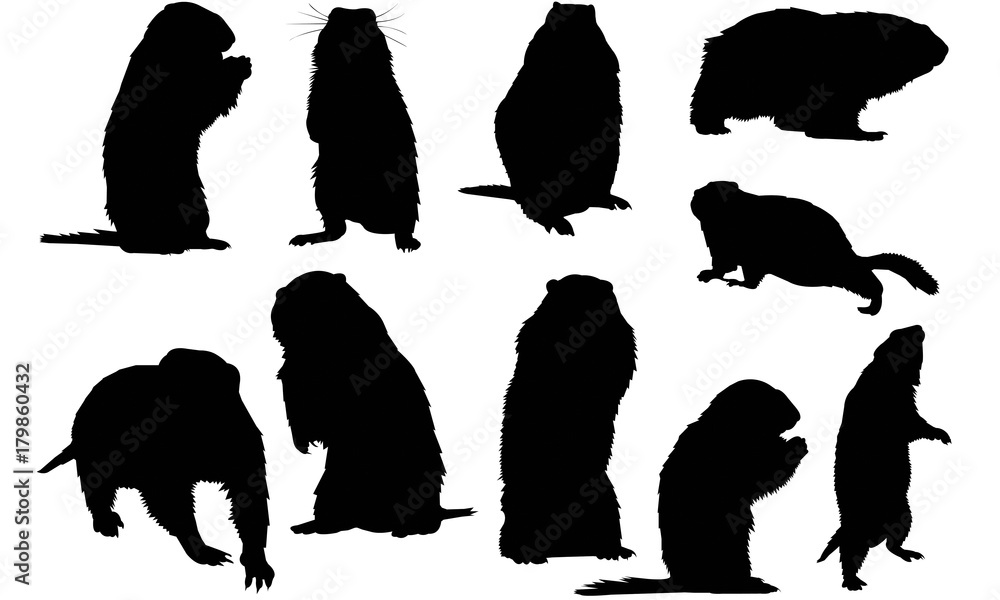 Marmot Silhouette Vector Graphics Stock Vector | Adobe Stock