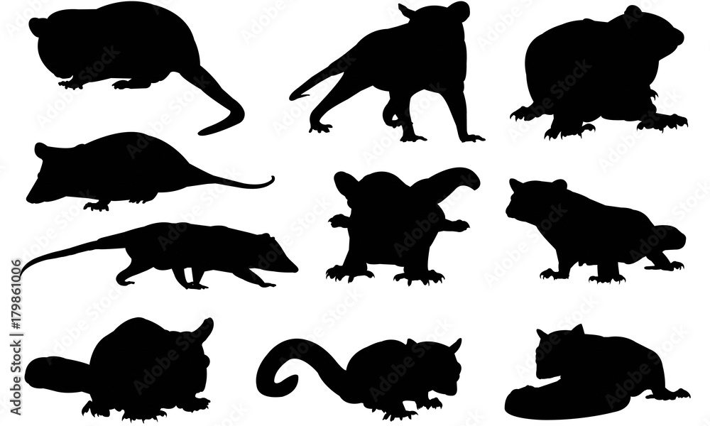 Possum Silhouette Vector Graphics Stock Vector | Adobe Stock
