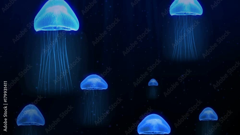 Animation blue jellyfish in deep sea underwater background pattern in ...