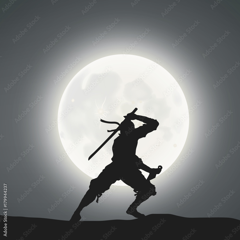 Ninja Moon Silhouette