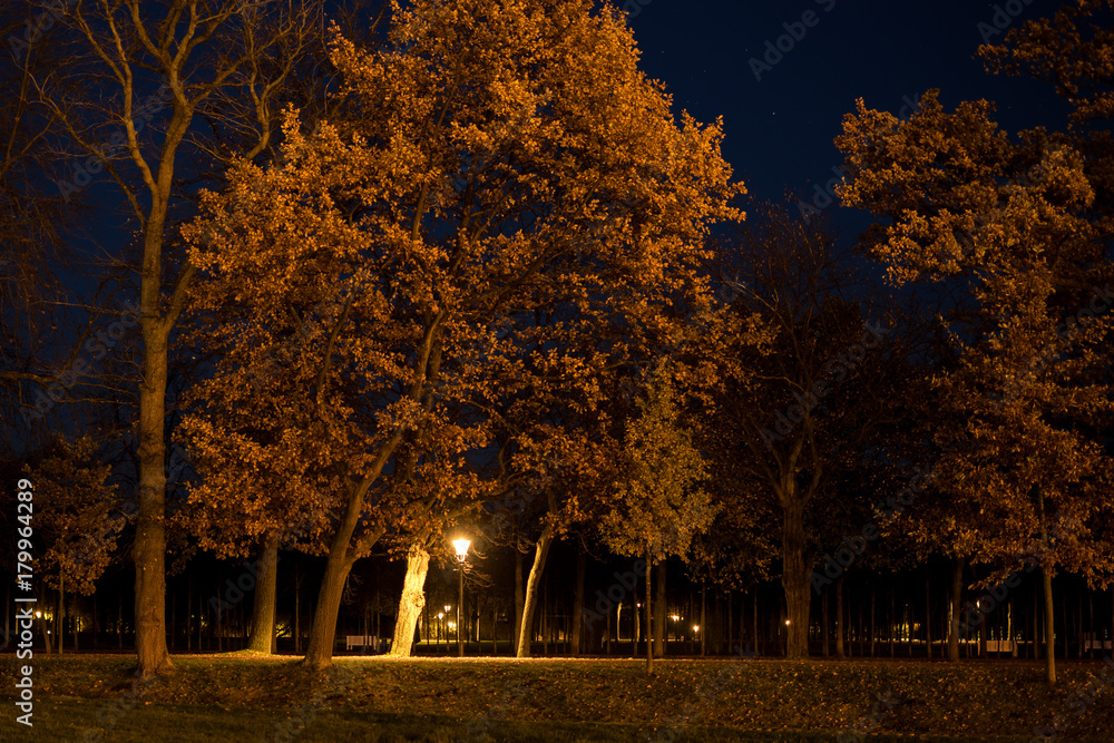 Der Park bei Nacht Stock Photo | Adobe Stock