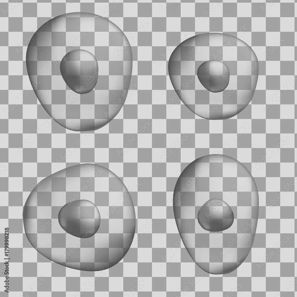 Set of 3d Isolated human grey cell. Realistic vector illustration ...