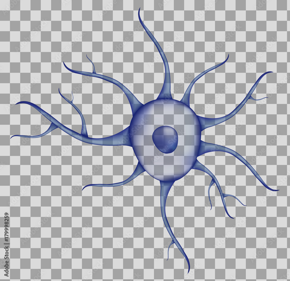 3d Blue human neuron isolated on transparent background. Realistic ...